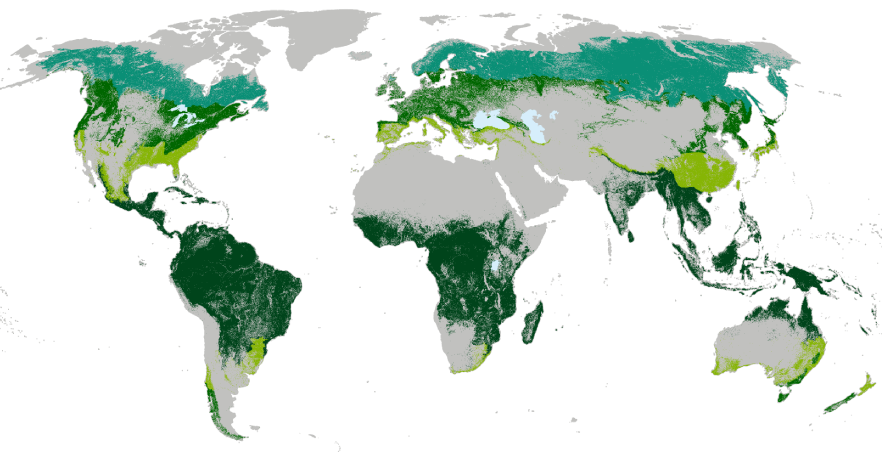 FRA Platform | Global Forest Resources Data | Food and Agriculture ...